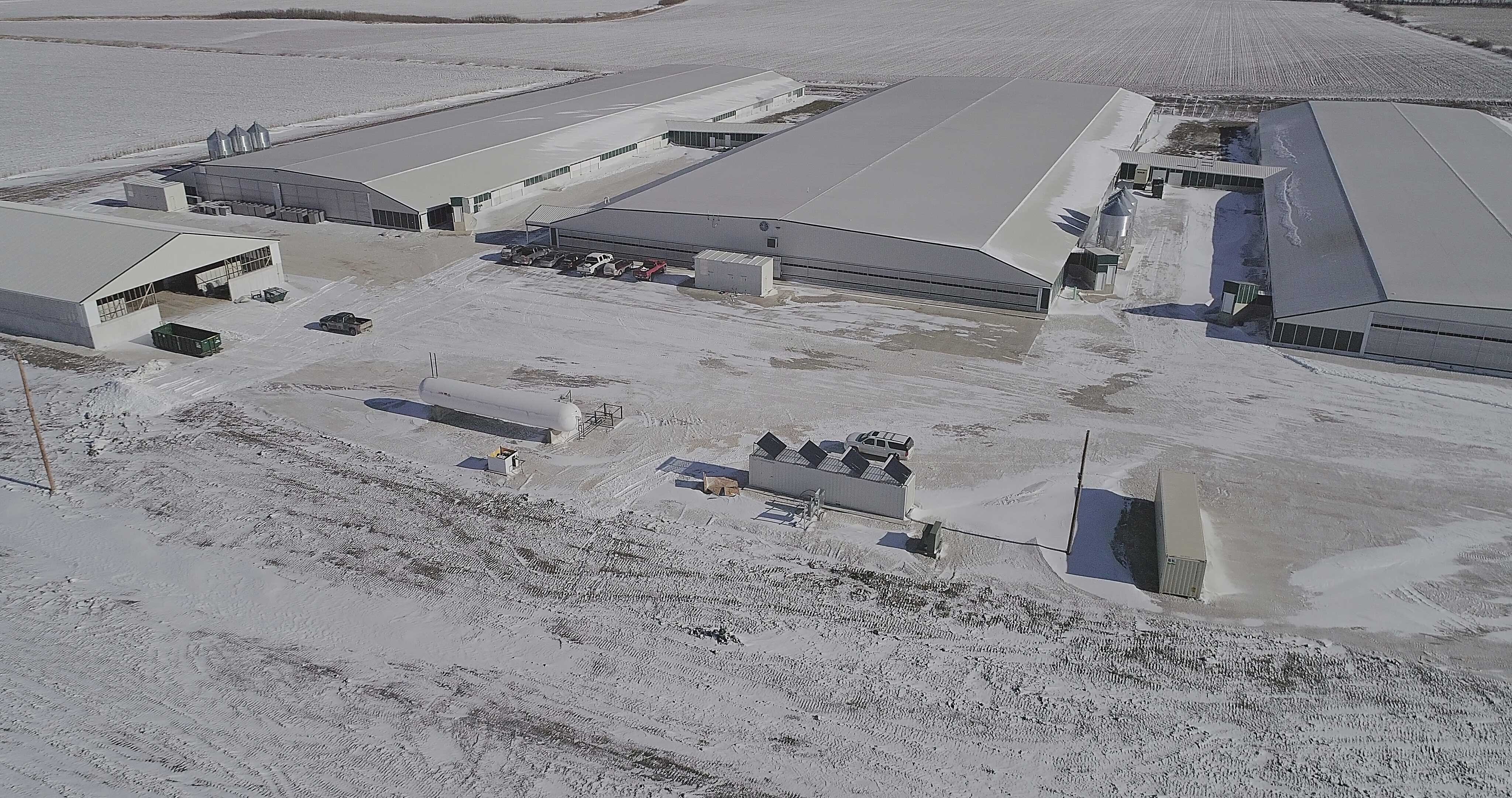 Iowa Select Farms, Sow 35 - Denovo