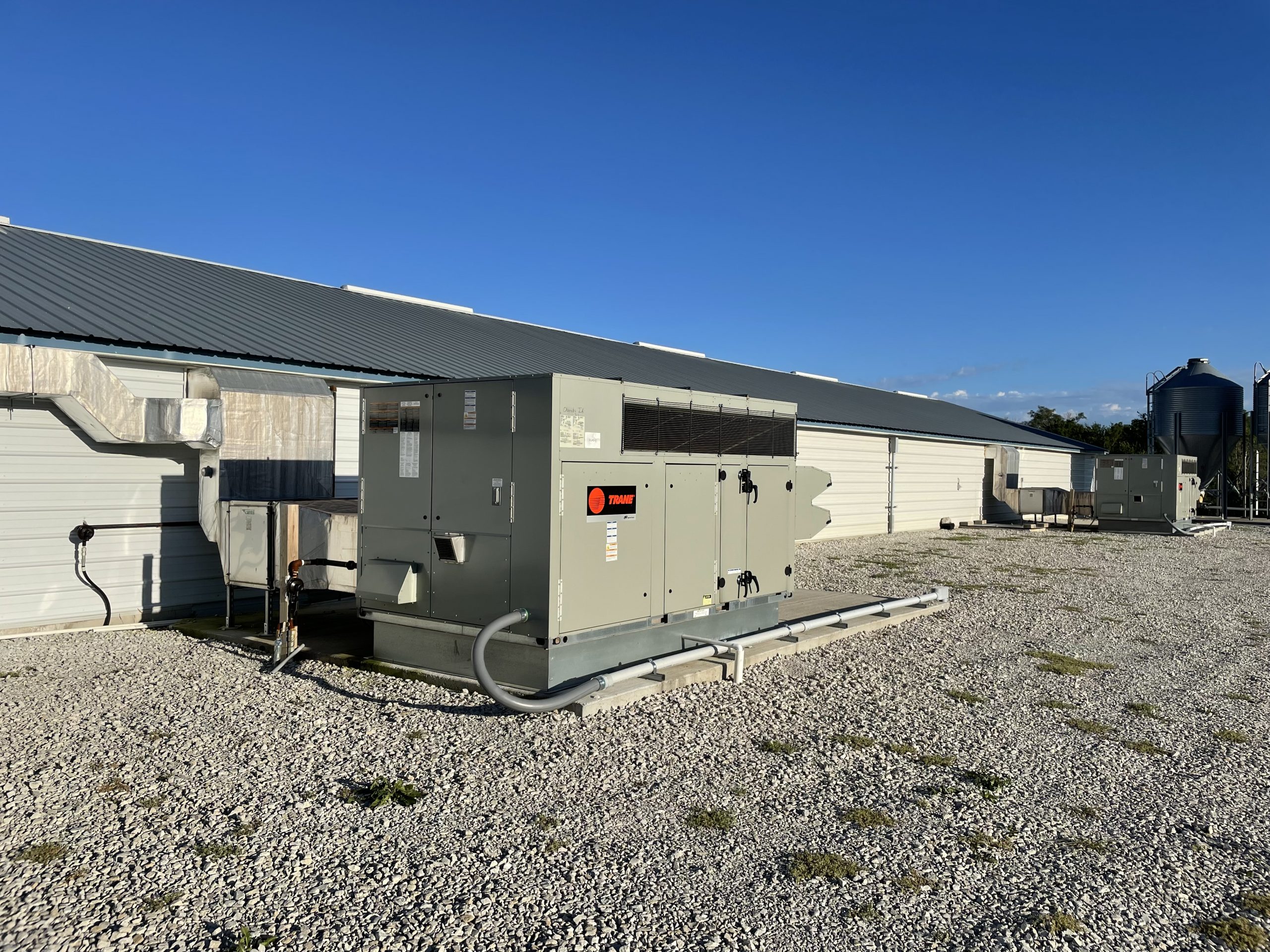 Cactus Family Farms, Boar Stud - Denovo