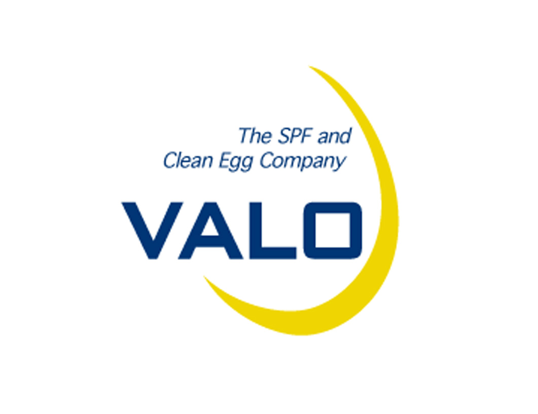 Valo BioMedia Project #1 - Denovo